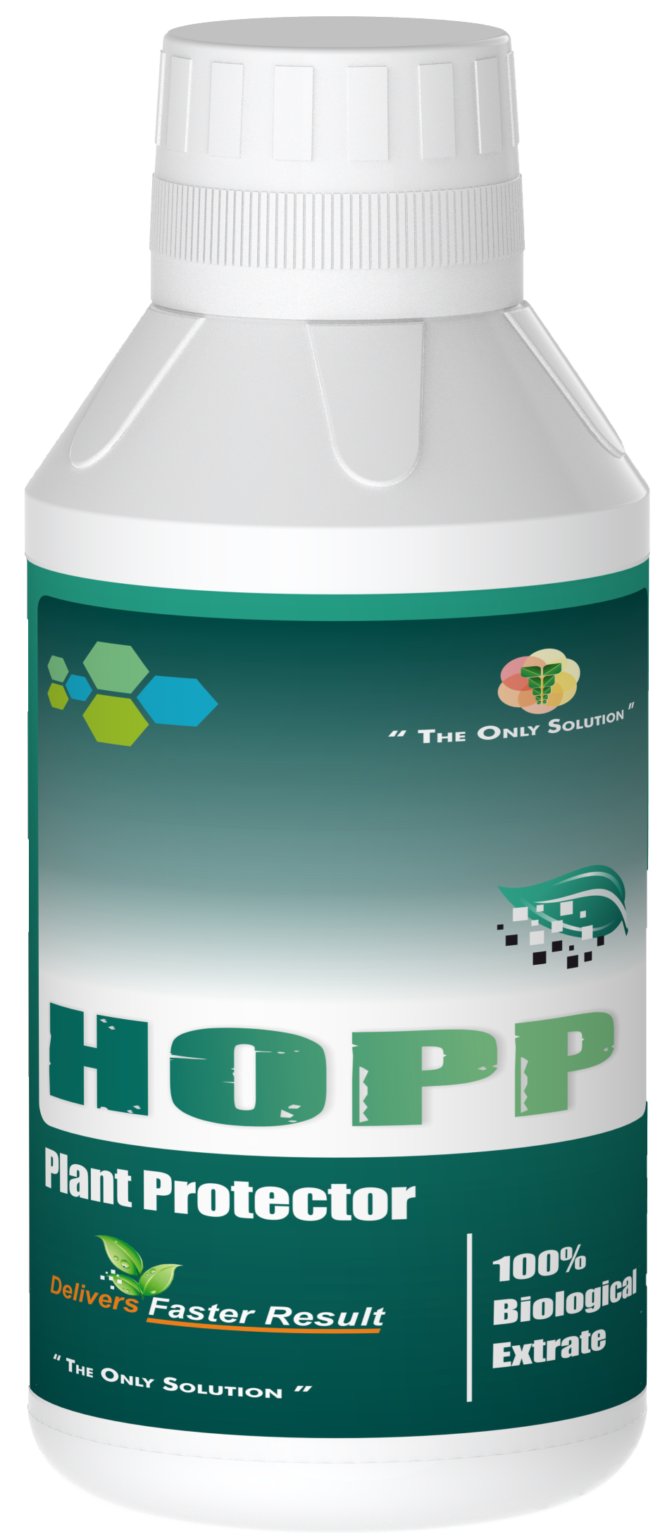 HOPP – Trycon